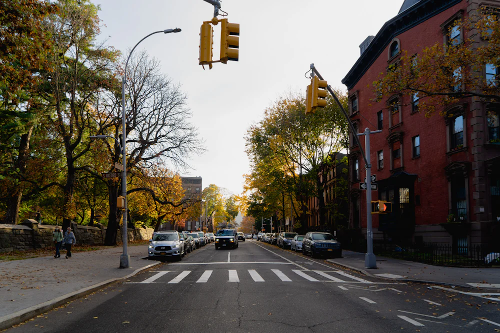 Photos of Peak NYC Fall Foliage in Fort Greene, Brooklyn