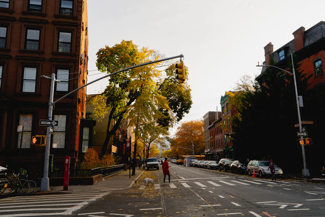Photos of Peak NYC Fall Foliage in Fort Greene, Brooklyn